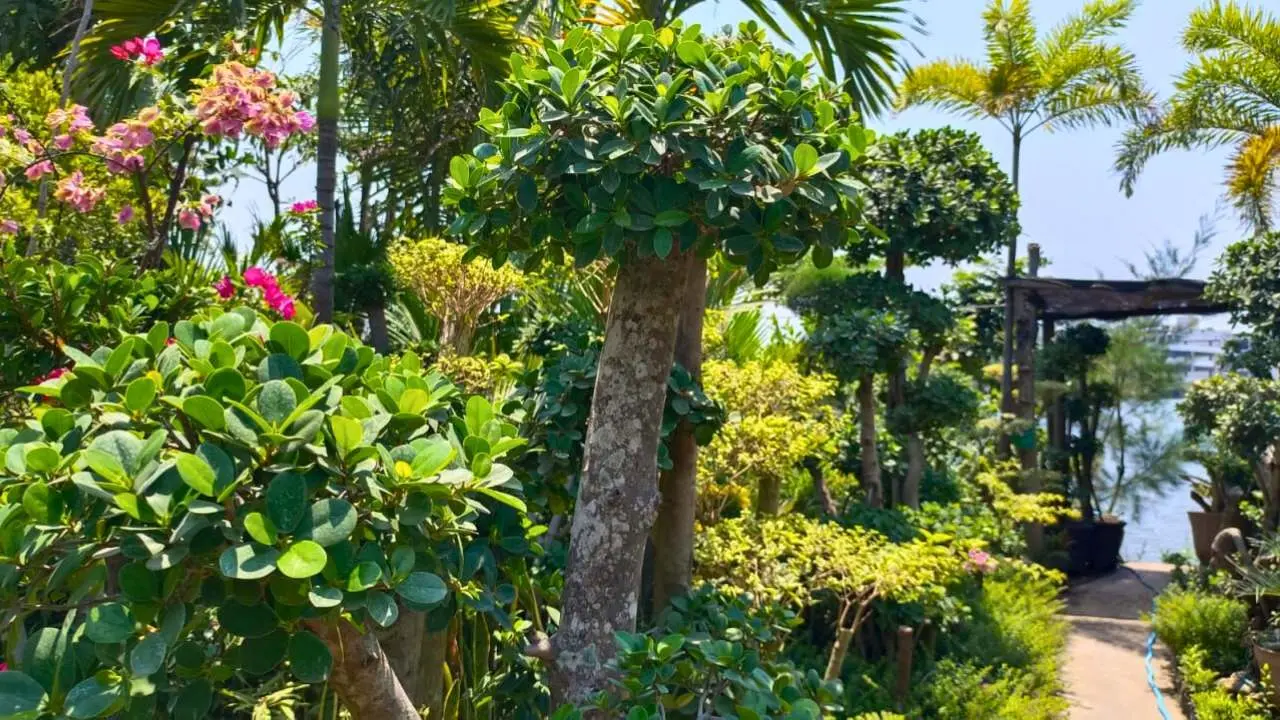 Tanjung Bunga Makassar, Tempat dengan Pemandangan Indah dan Surga Bagi ...