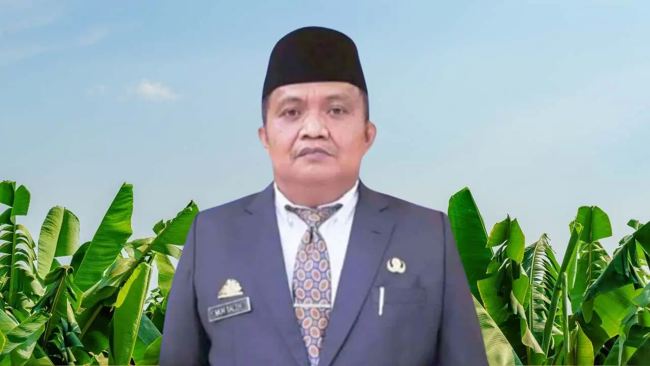 Kadis PMD Sulsel: Budidaya pisang sejalan dengan prioritas Dana Desa ...